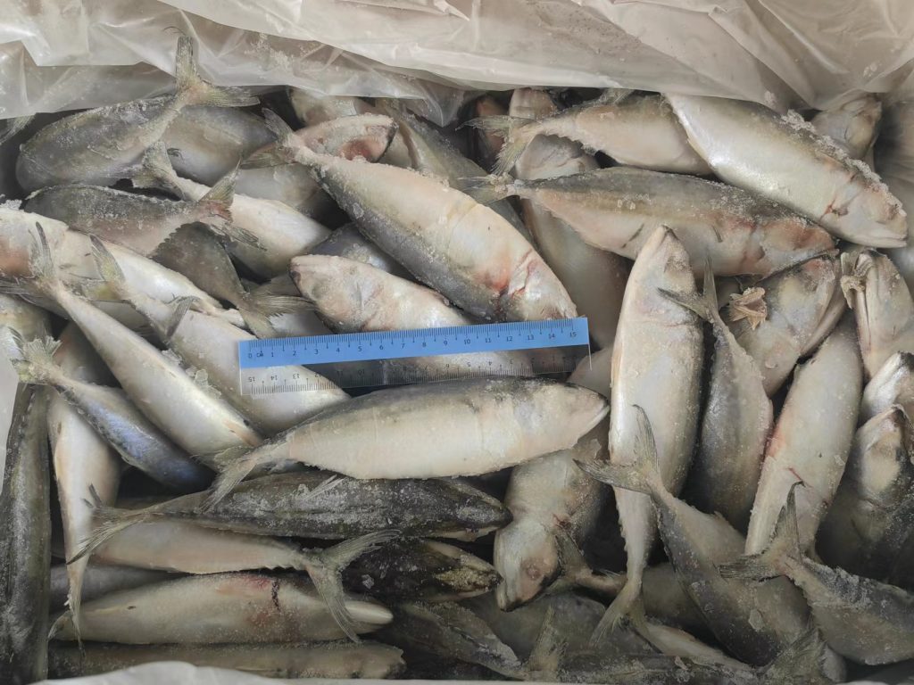 Ikan Kembong 8/12 - JF Packaging